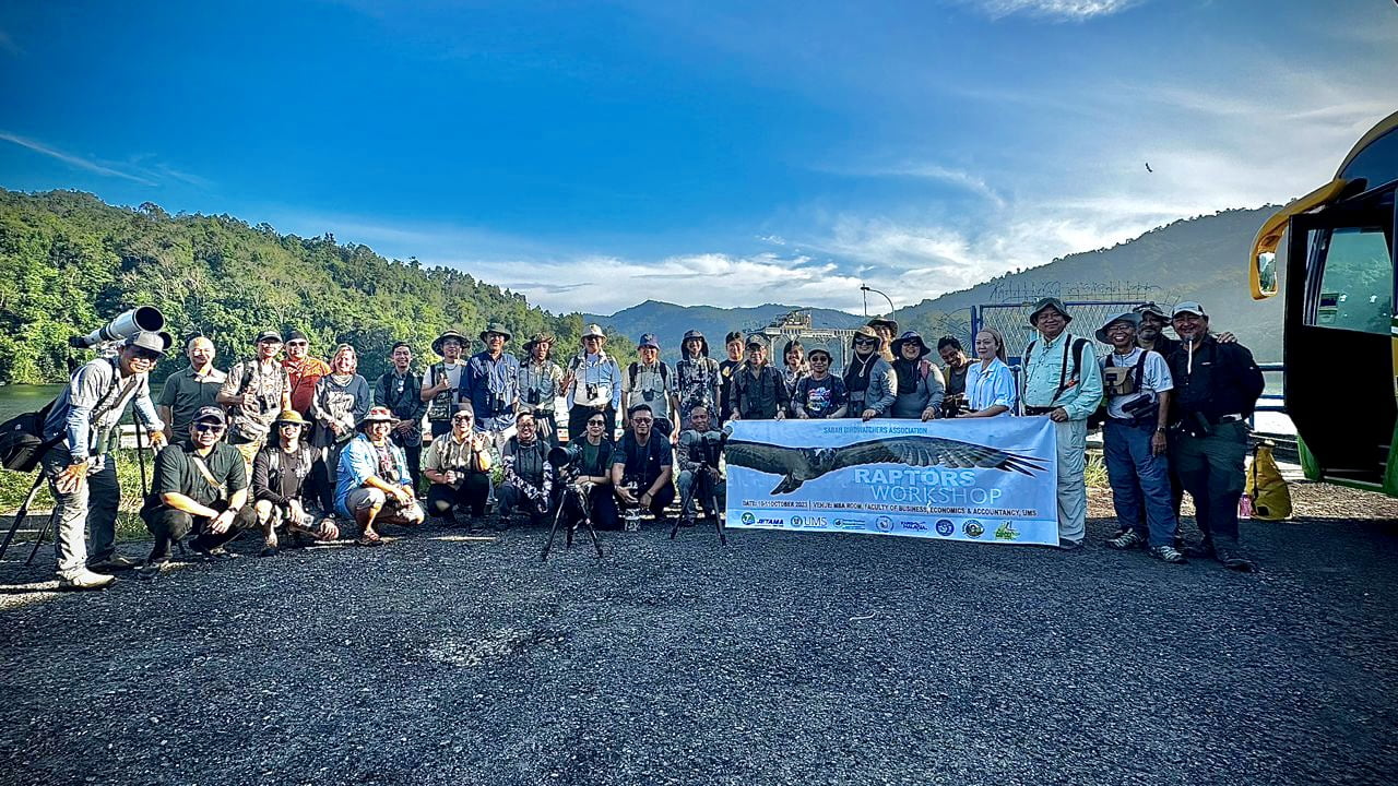 Empangan Babagon bakal jadi lokasi pemerhatian burung Raptor | Warta ...
