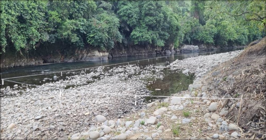 Magadau anaru, El Nino kapanahak kaantaban agayo kojominan takanon ...