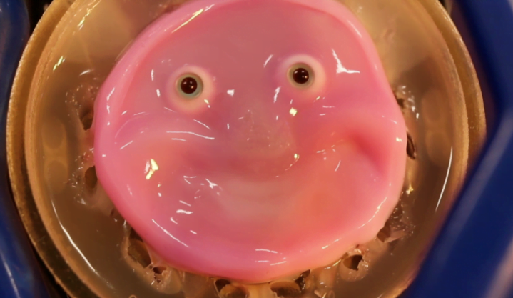 Saintis Jepun cipta wajah robot ‘tersenyum’ guna kulit hidup | Warta ...